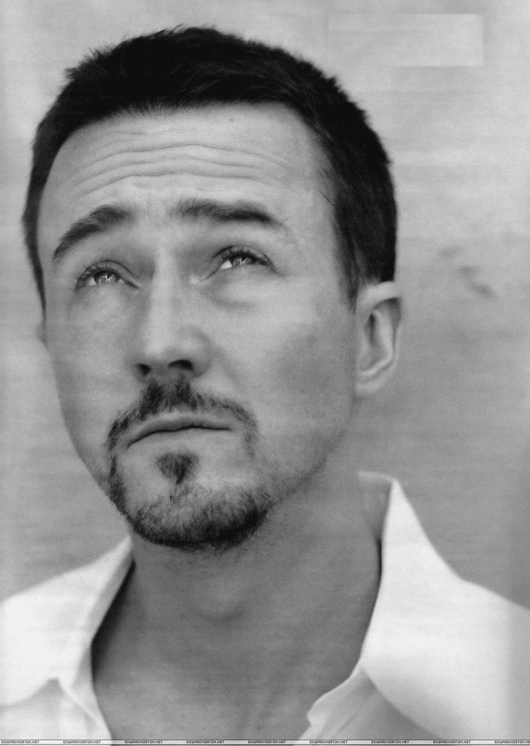 Picture of Edward Norton