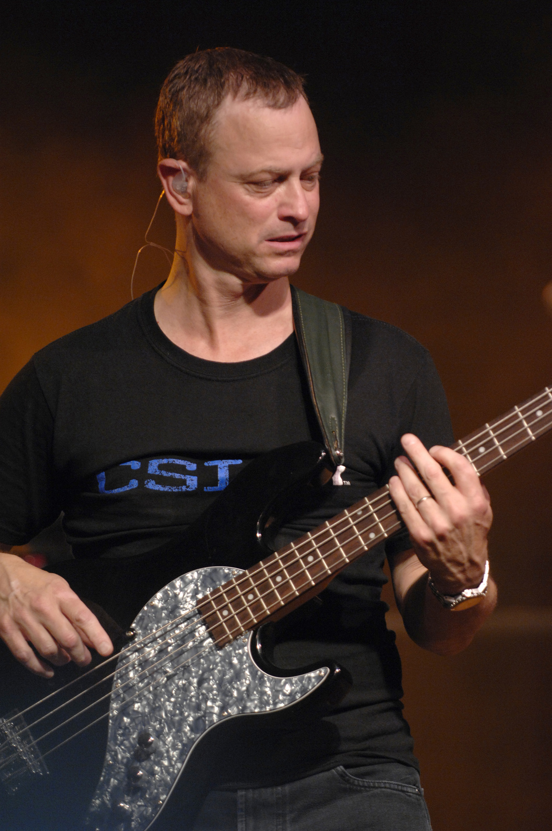 Picture of Gary Sinise