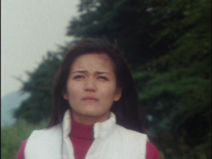 Rin (Dairanger) image
