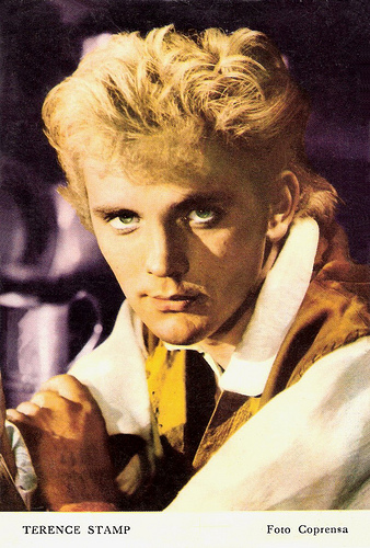 Picture of Terence Stamp