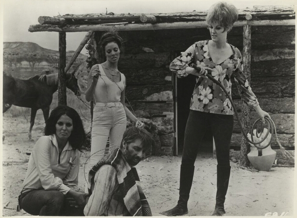 Picture of The Female Bunch