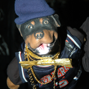Picture of Triumph the Insult Comic Dog