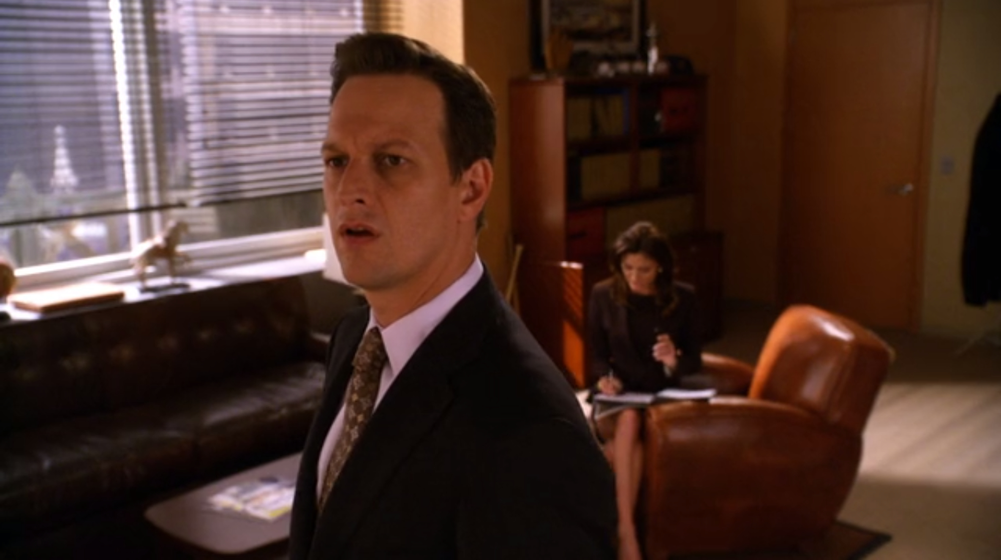 Picture of The Good Wife