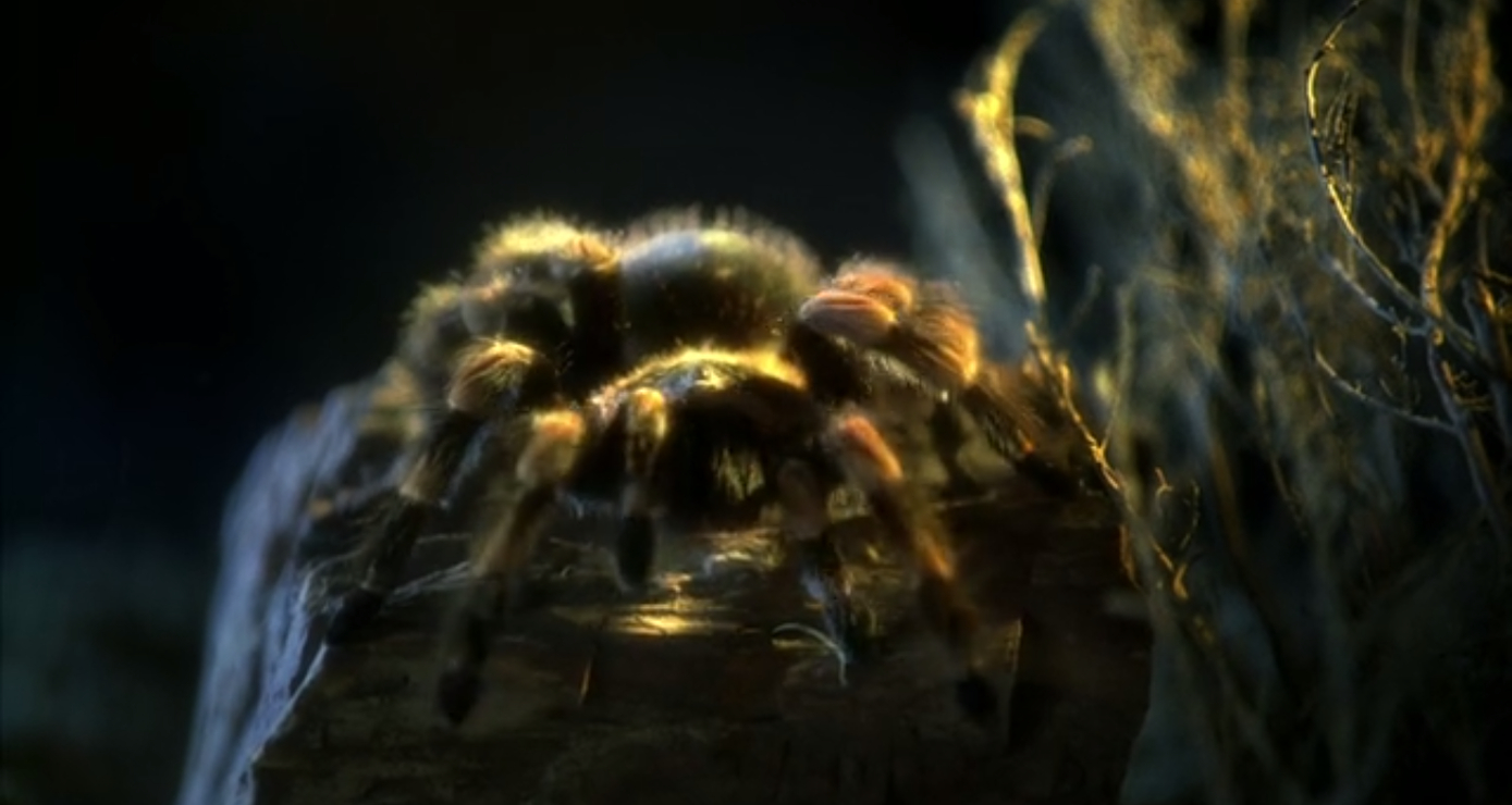 Picture of CSI: Crime Scene Investigation