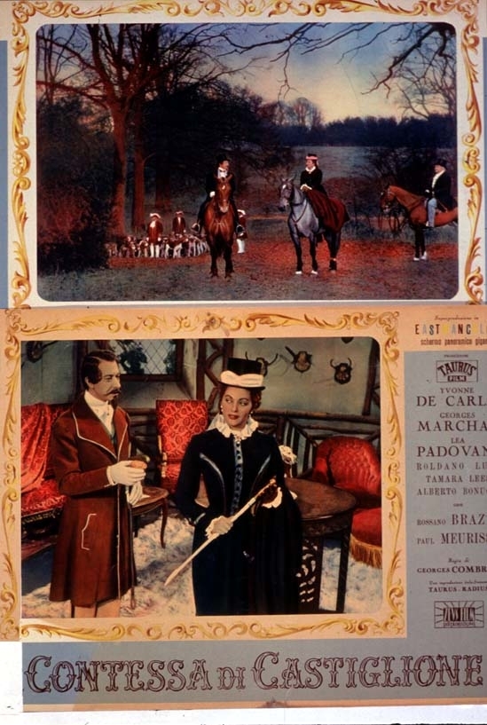 Picture of The Contessa's Secret