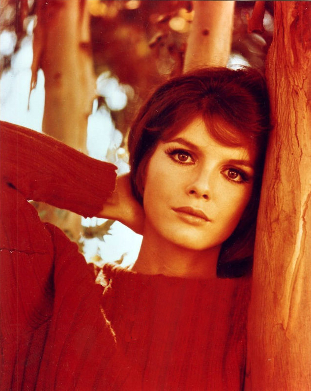 Katharine Ross picture
