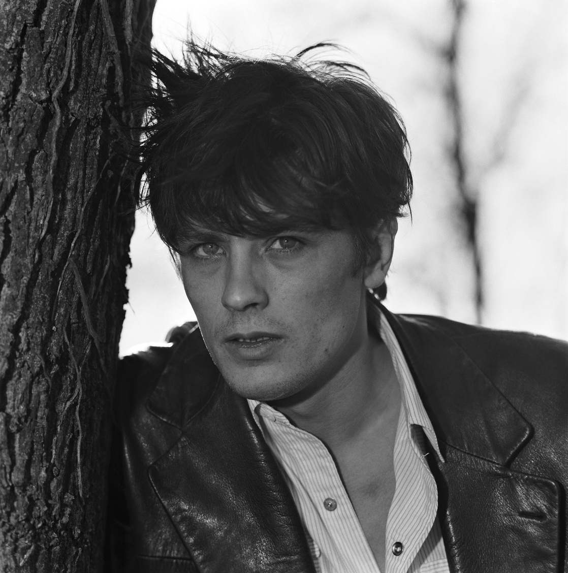 Picture of Alain Delon
