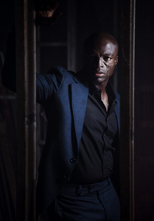 Picture of Seal
