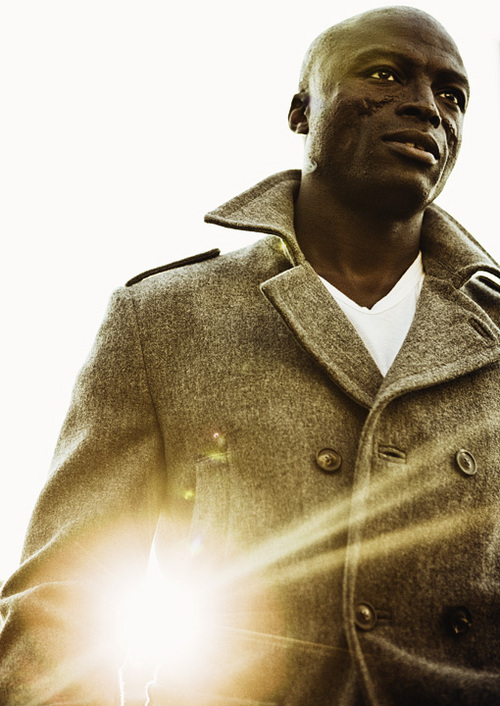 Picture of Seal