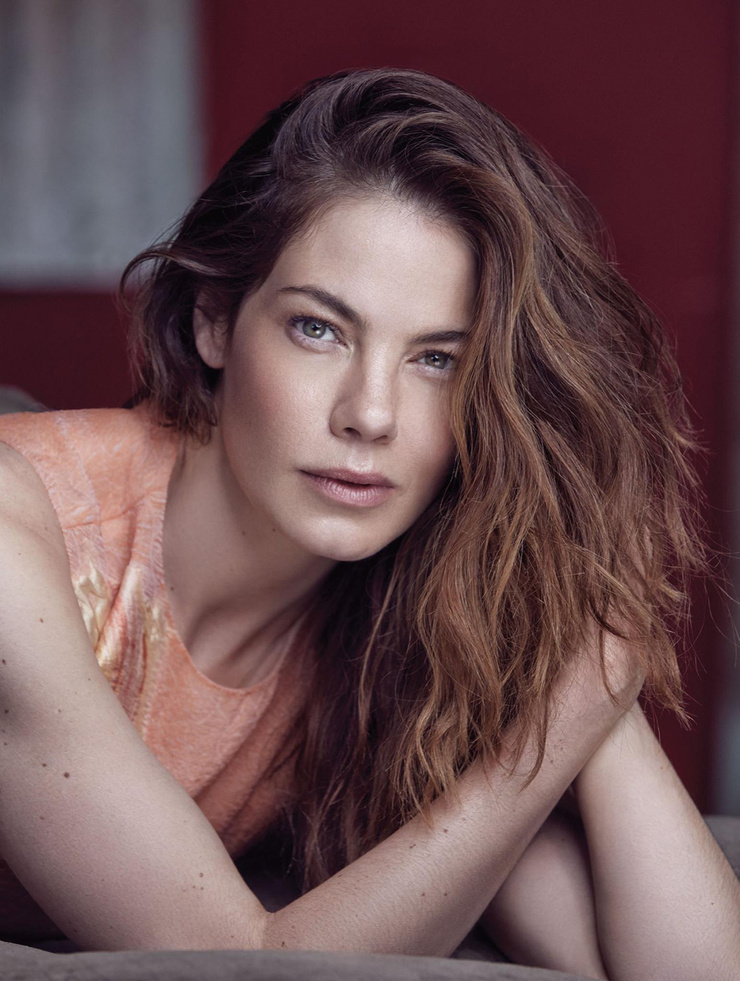 Picture of Michelle Monaghan