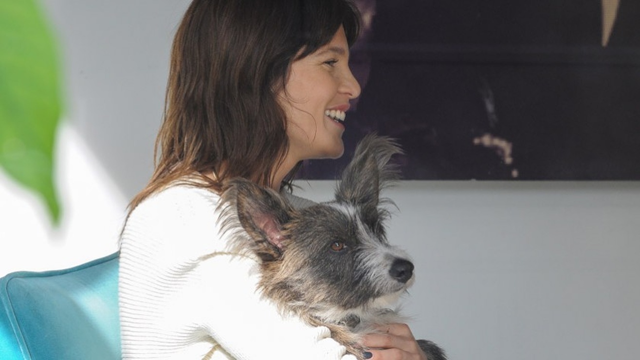 Picture of Liz Solari