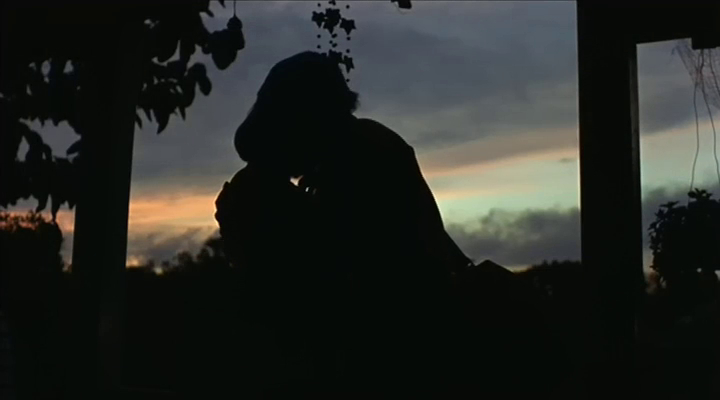 Picture of Transistor Love Story (2001)