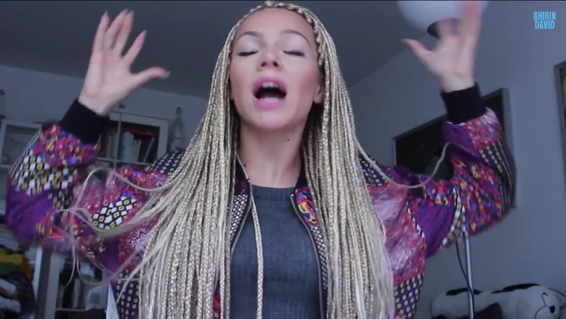 Picture of Shirin David