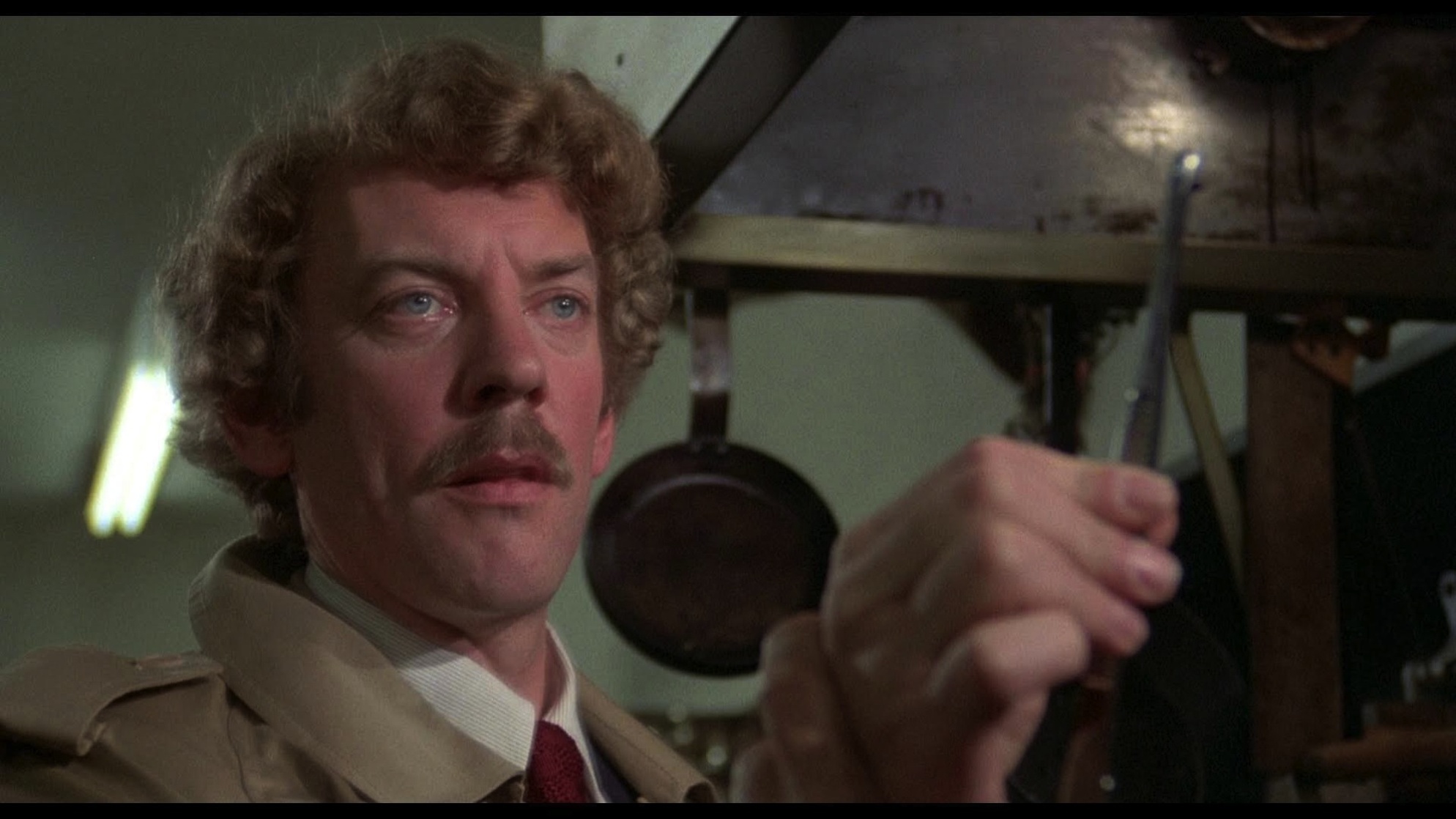 Image of Invasion of the Body Snatchers (1978)