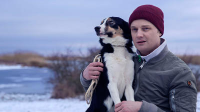 Image of Follow the Money