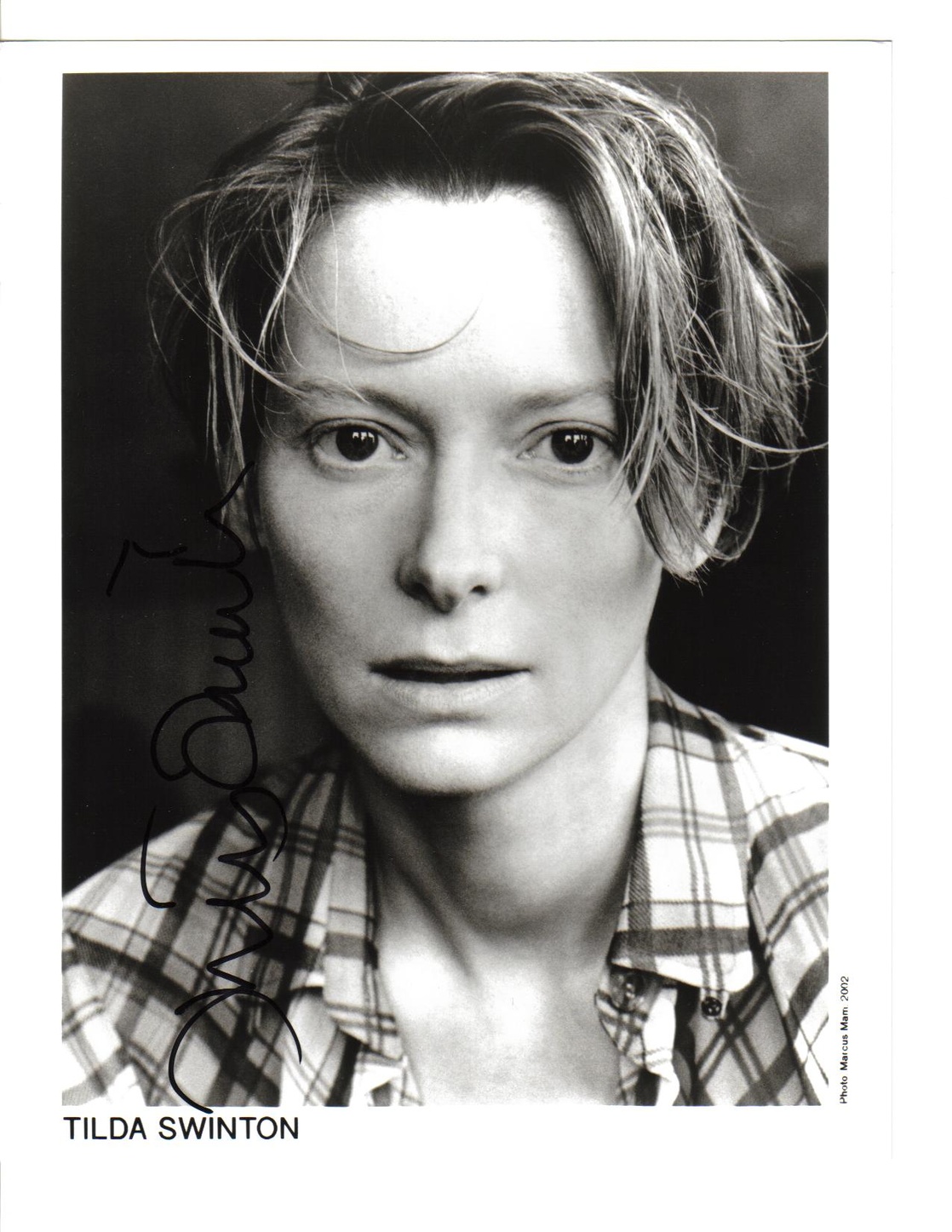 Picture of Tilda Swinton