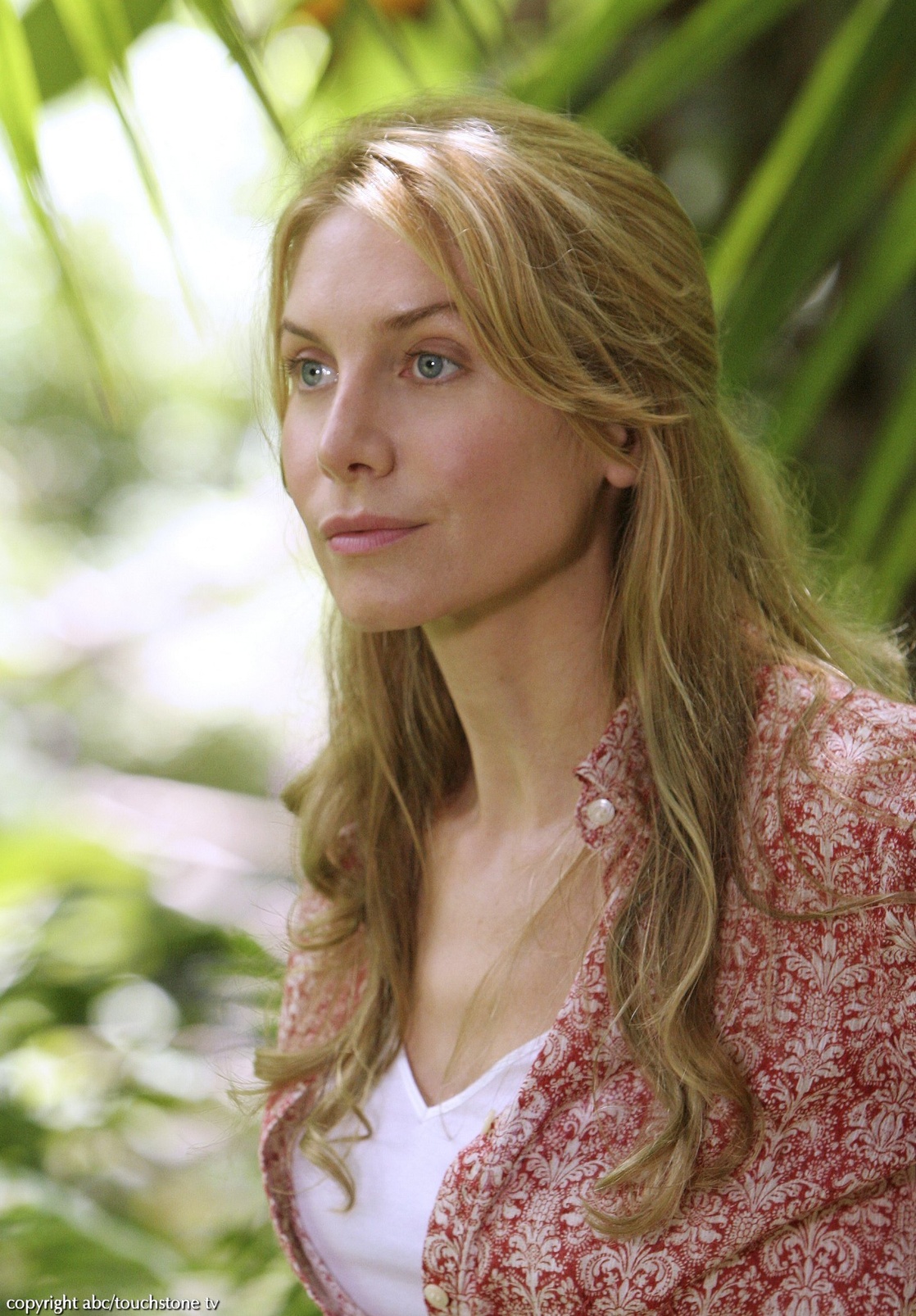 Elizabeth Mitchell Actress