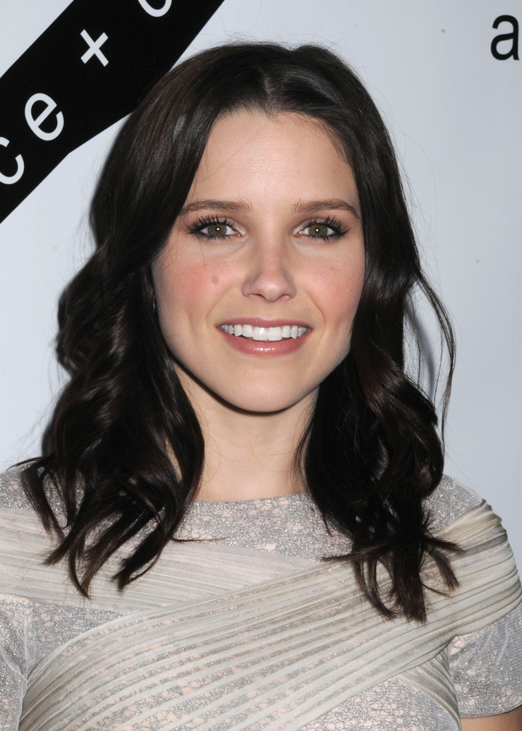 Picture of Sophia Bush