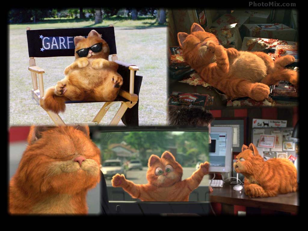 Picture of Garfield