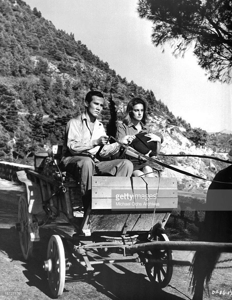 Picture of Spela Rozin