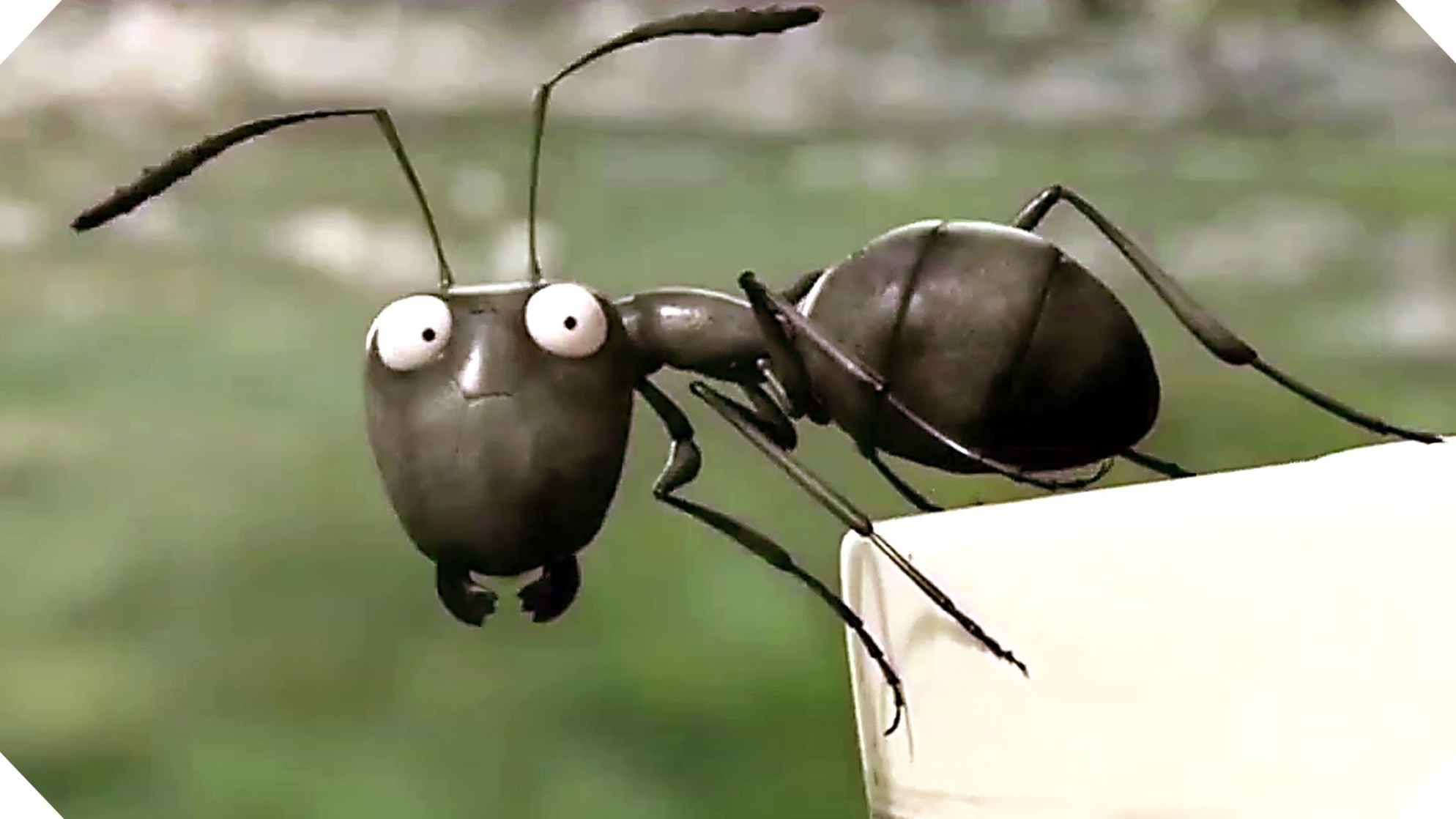 Minuscule: Valley of the Lost Ants image