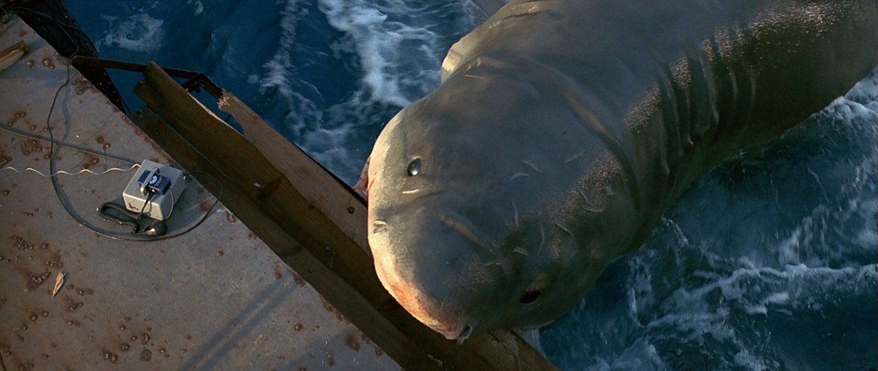 Jaws: The Revenge image