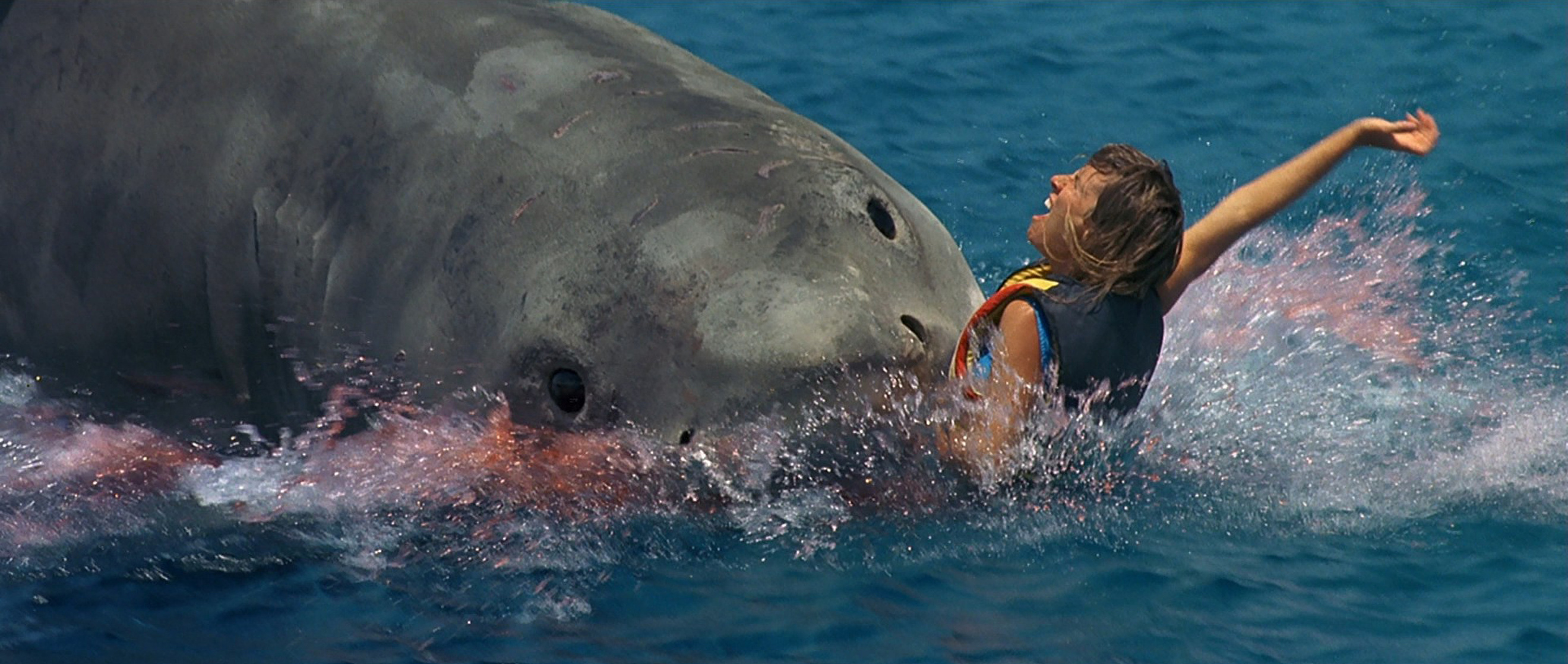 Picture of Jaws: The Revenge