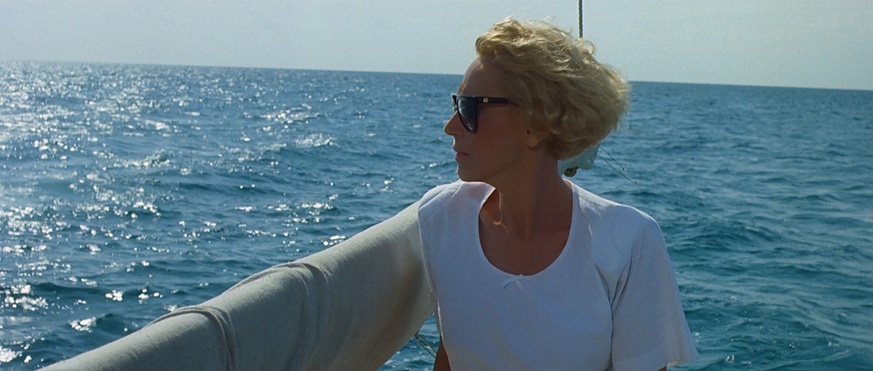 Jaws: The Revenge image