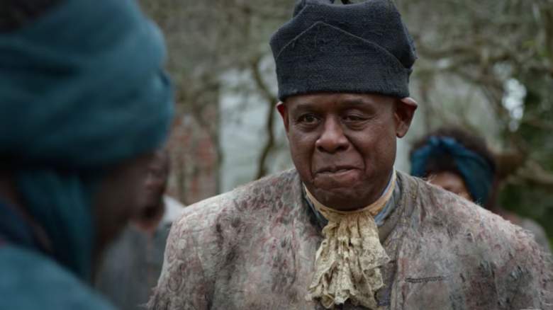 Picture of Roots (2016)