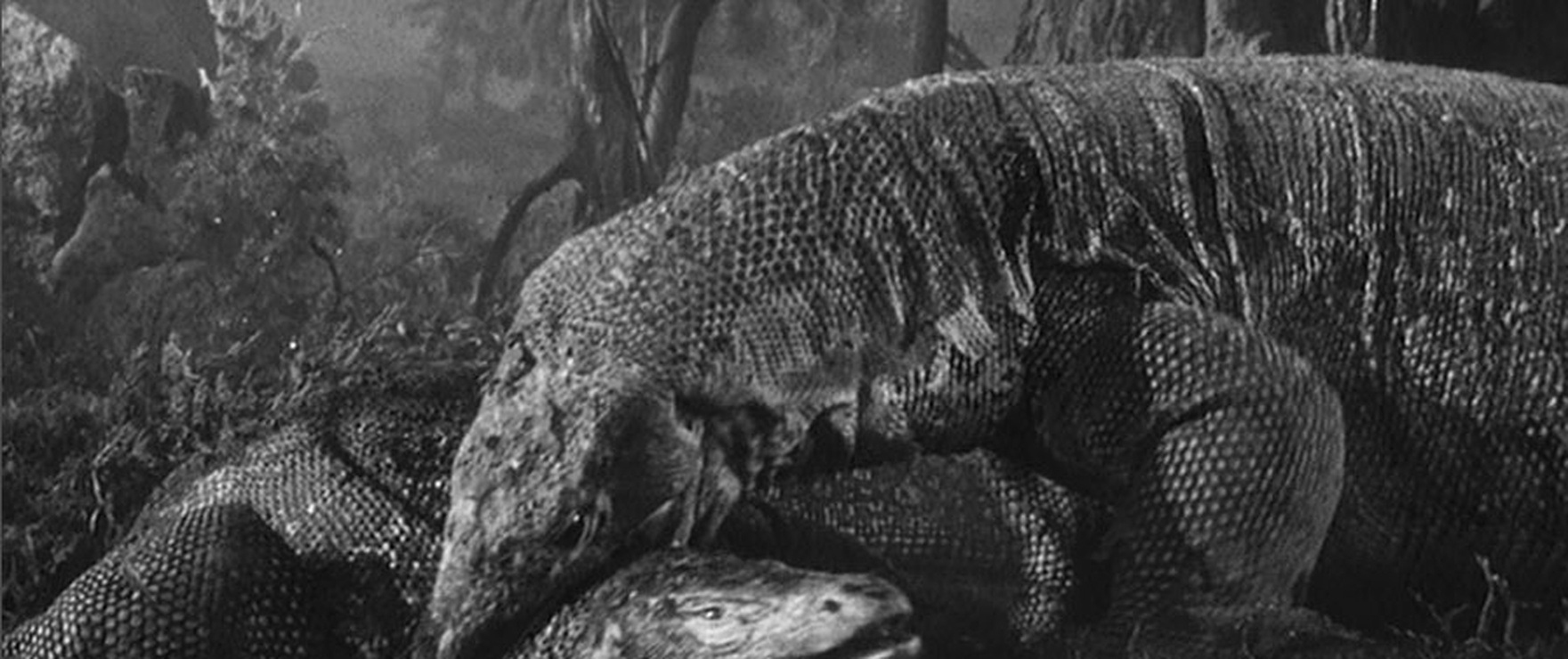 Picture of The Land Unknown