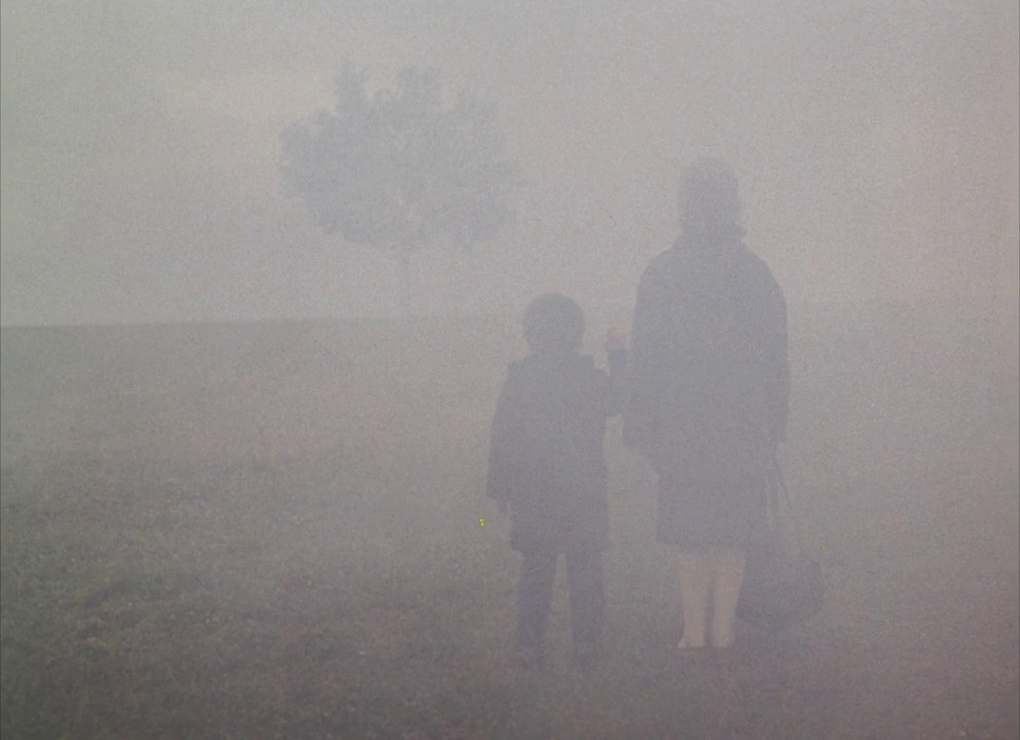 Picture of Landscape in the Mist