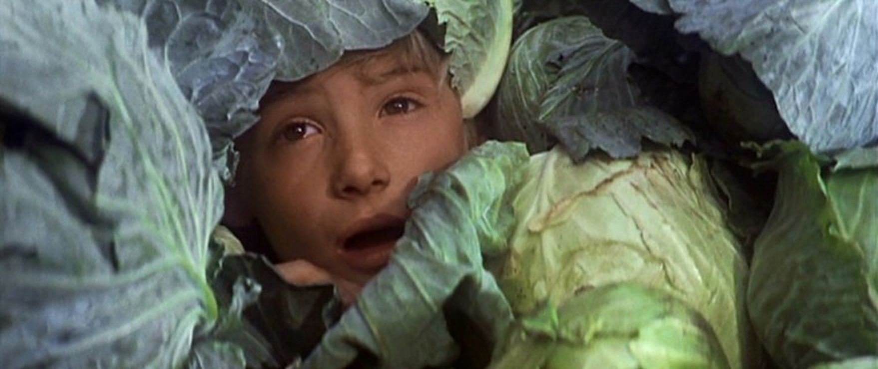 Image of Oliver!