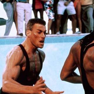 Picture of Lionheart