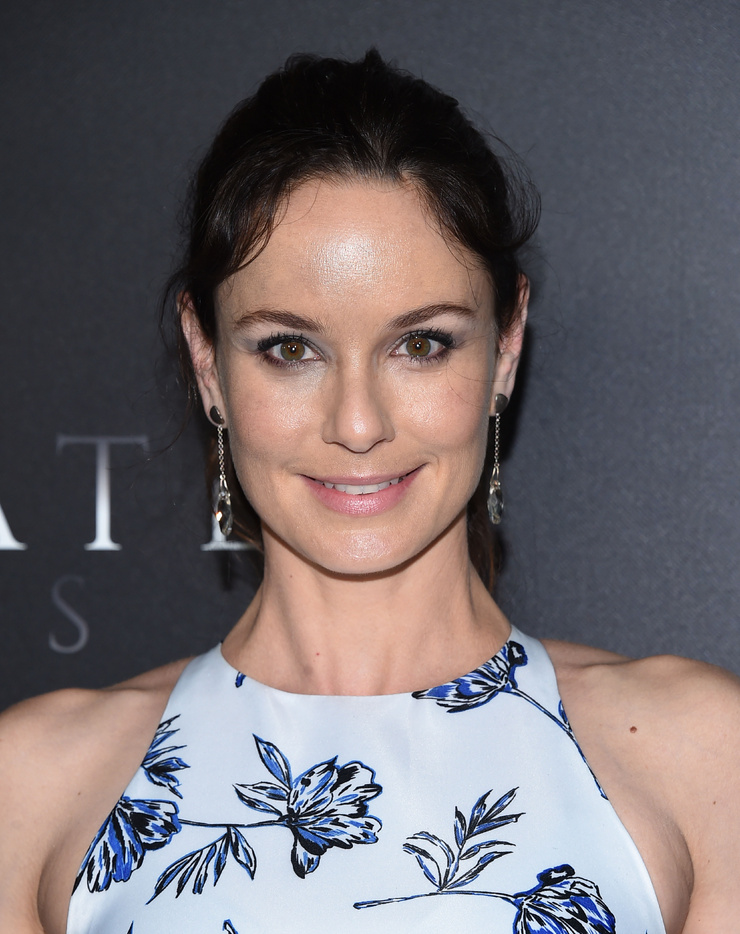Picture of Sarah Wayne Callies