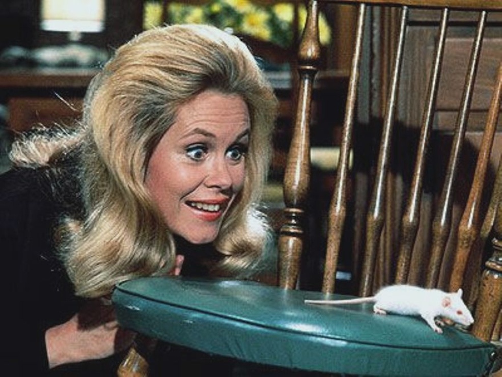 Image of Elizabeth Montgomery