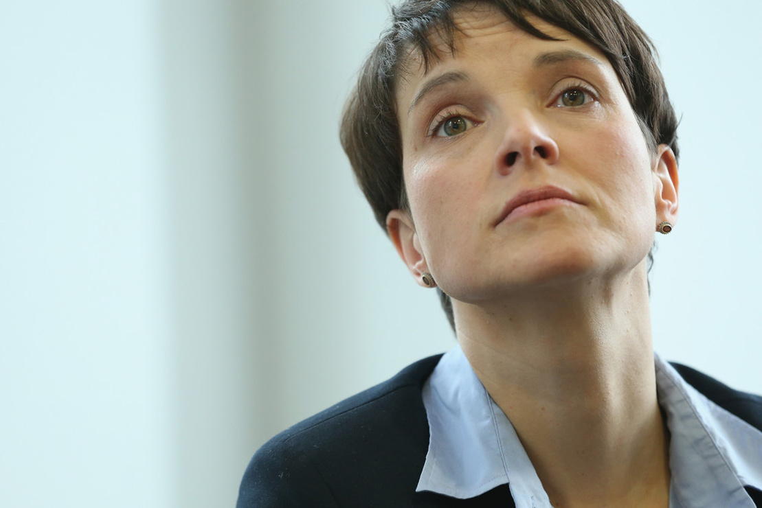 Frauke Petry image