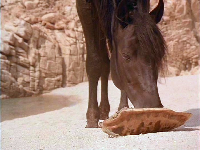 Picture of Cass-Olé