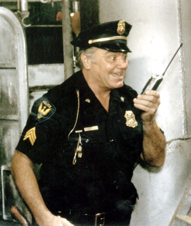 Picture of Super Fuzz