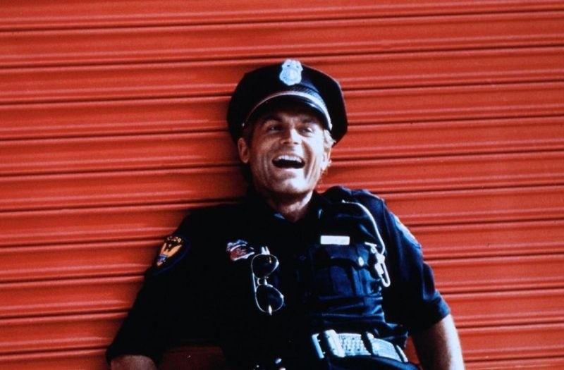 Picture of Super Fuzz