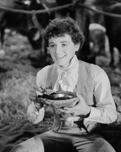 Picture of Freddie Bartholomew