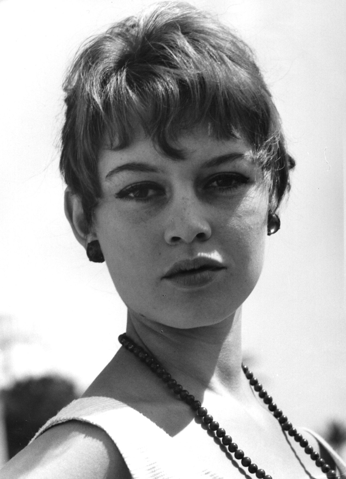 Picture of Brigitte Bardot