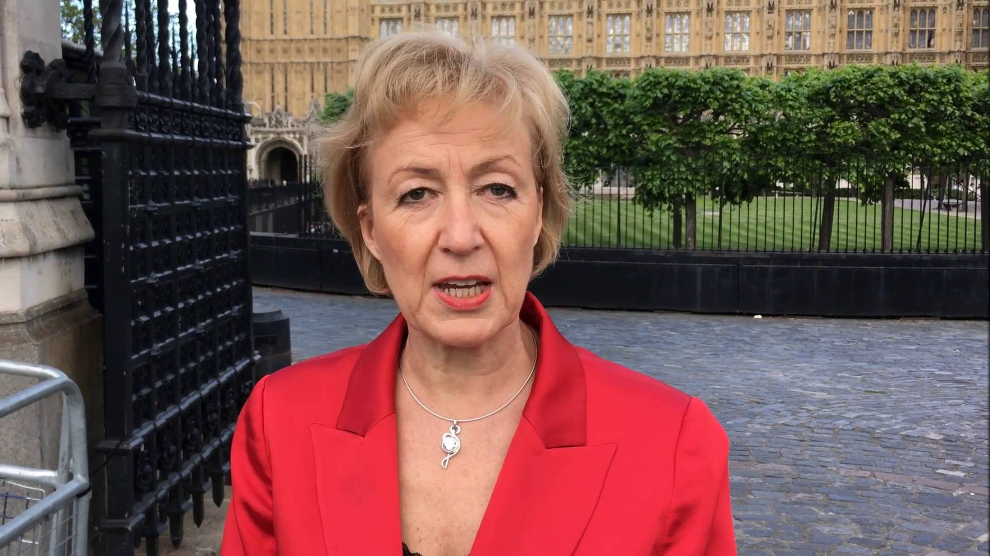 Andrea Leadsom picture