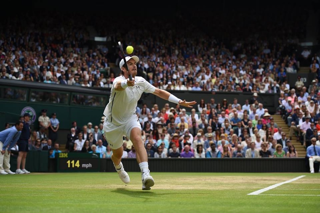 Andy Murray image
