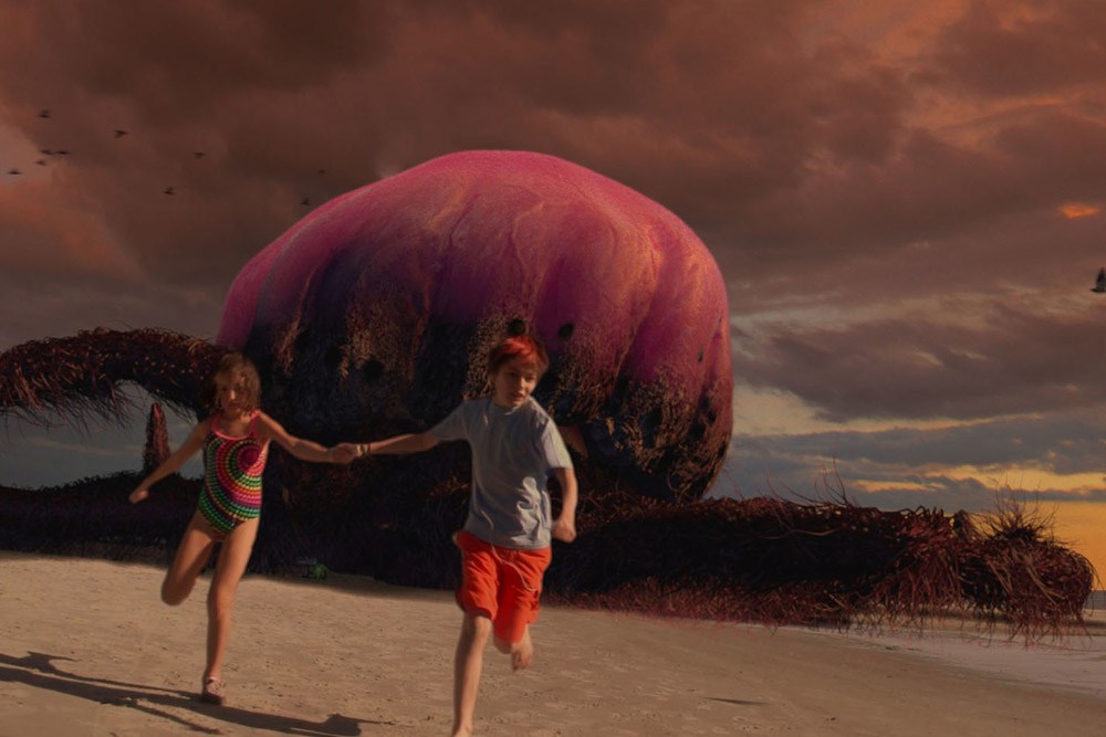 Picture of Monsterland