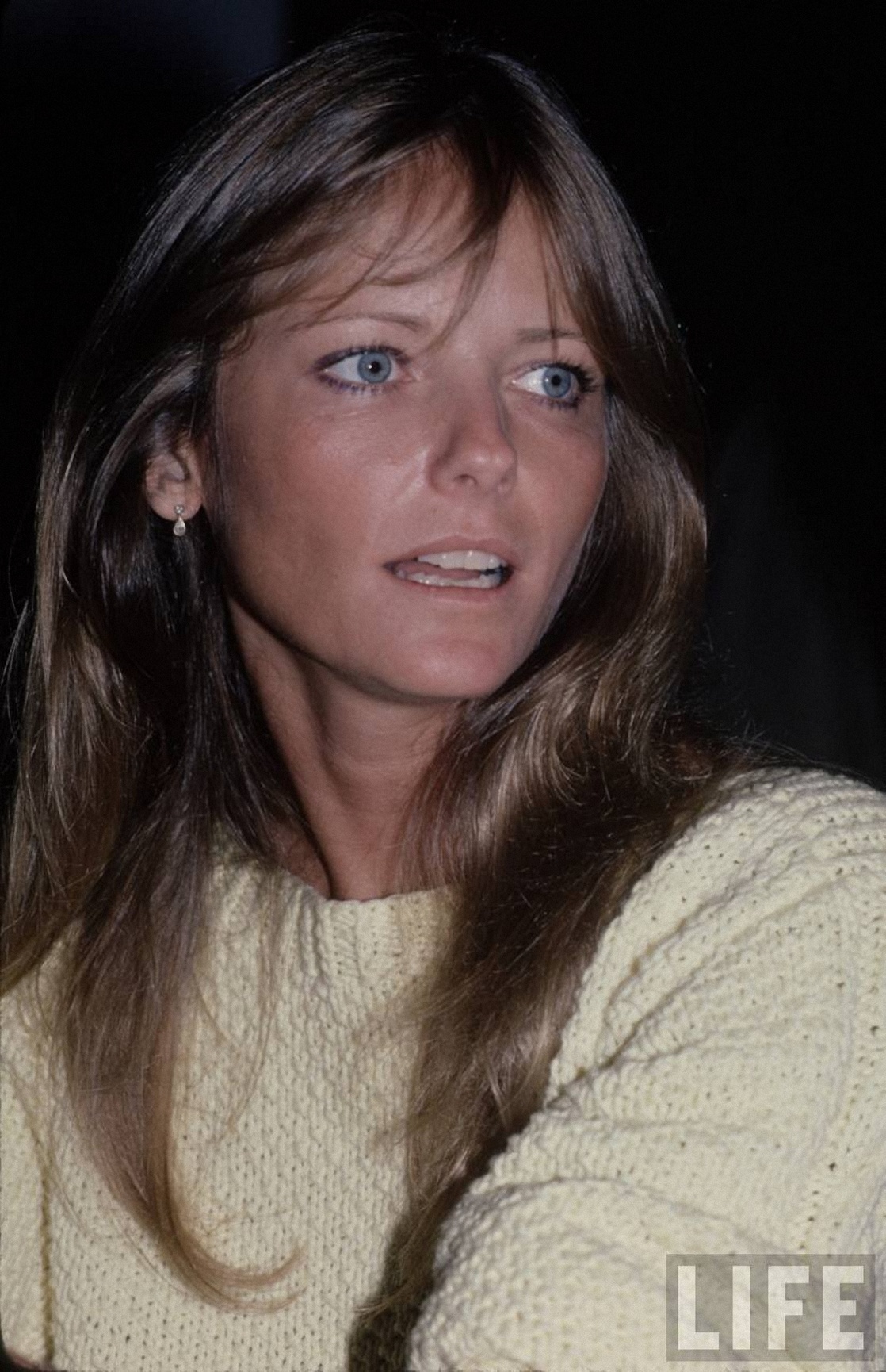 Picture of Cheryl Tiegs