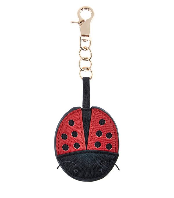 Ladybird Keyring