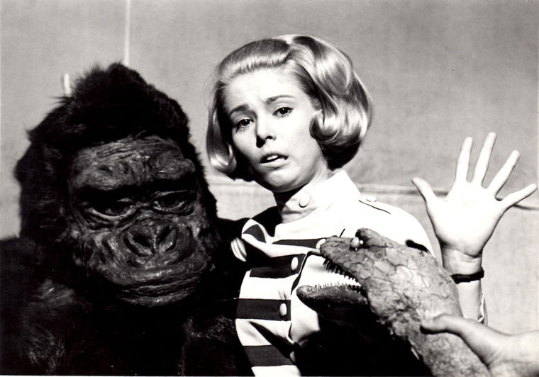 Picture of Linda Miller