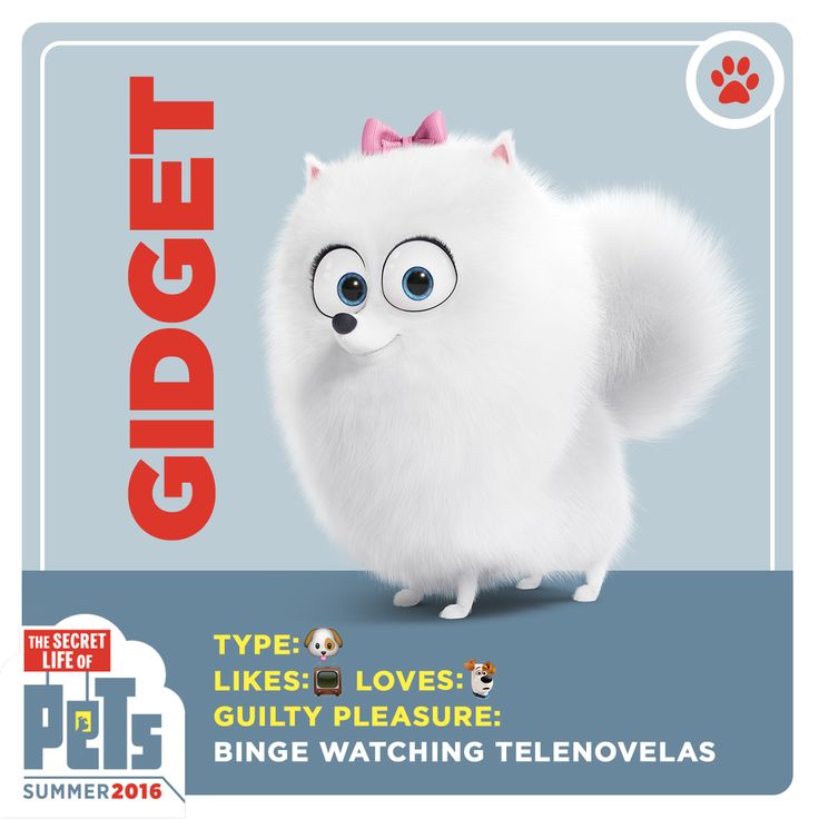 Picture of Gidget