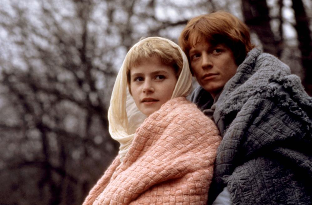 Picture of Lionheart