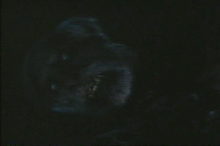 Picture of Howling II: Your Sister Is a Werewolf
